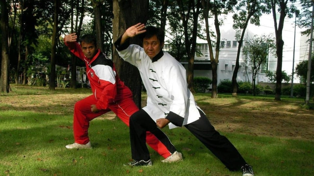Jeet Kune Do - Martial Arts Training & Classes by Kung fu Master Shifu ...